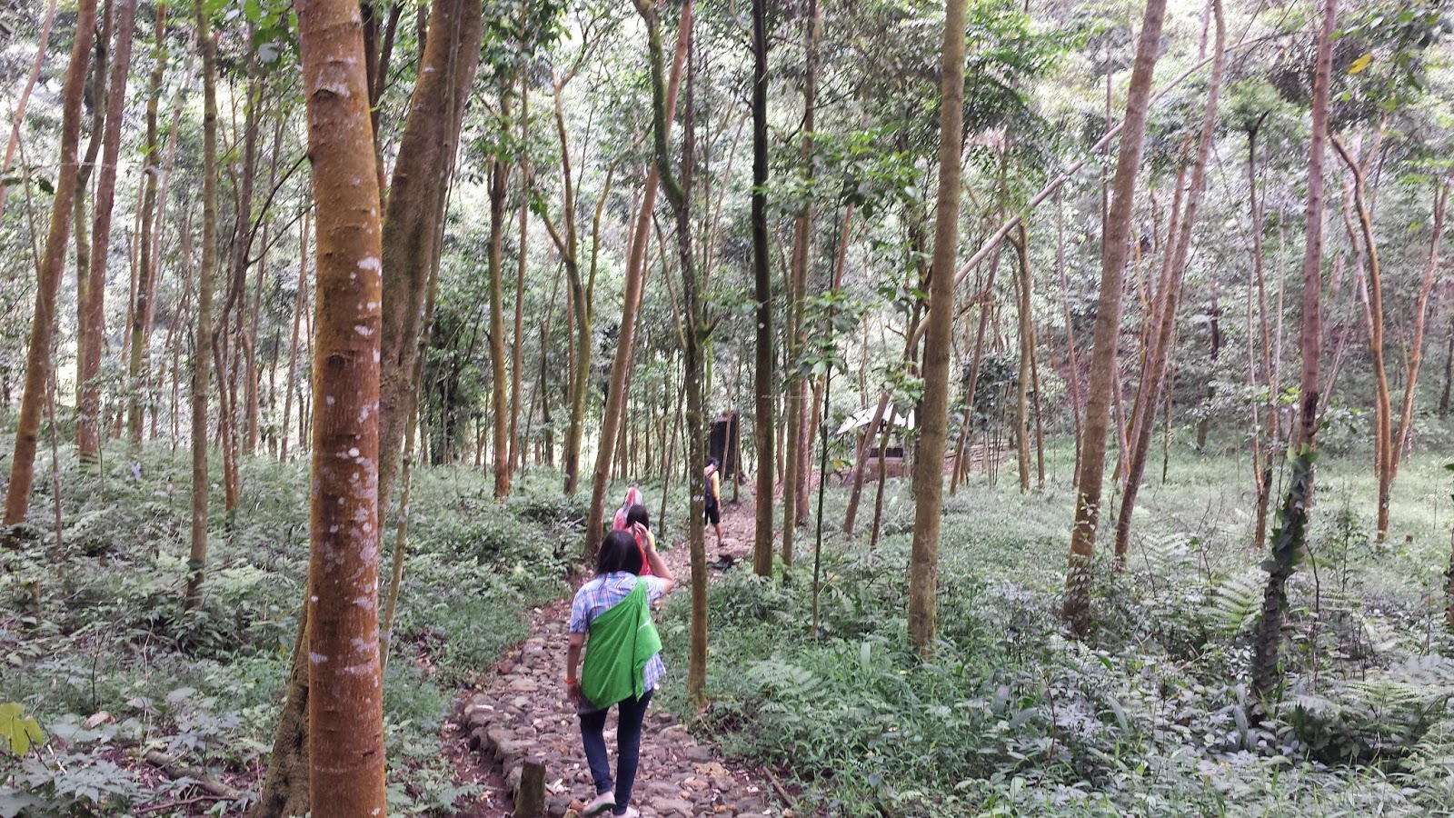 Curug Muara Herang dan Curug Ciparai - Untold Story